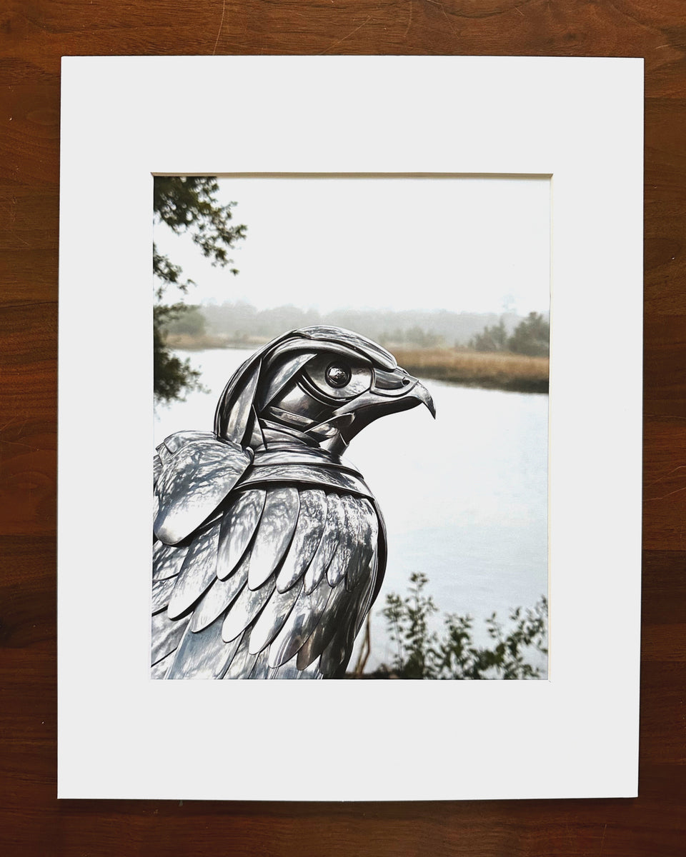 Red-Tailed Hawk Print – Airtight Artwork