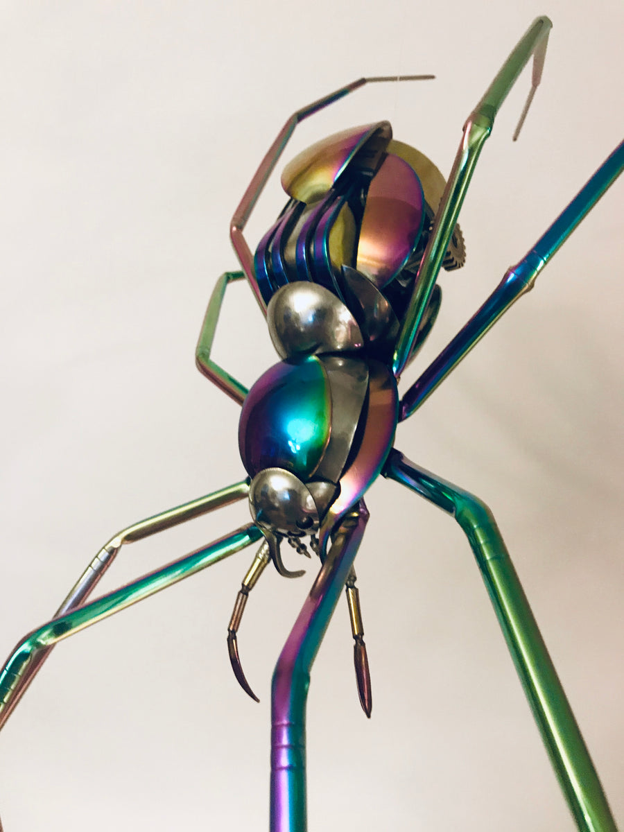 Radioactive Rainbow Spider – Airtight Artwork